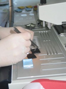 Lapvso – Laboratoire d'Anatomie Pathologique Vétérinaire du Sud-Ouest 4 ...